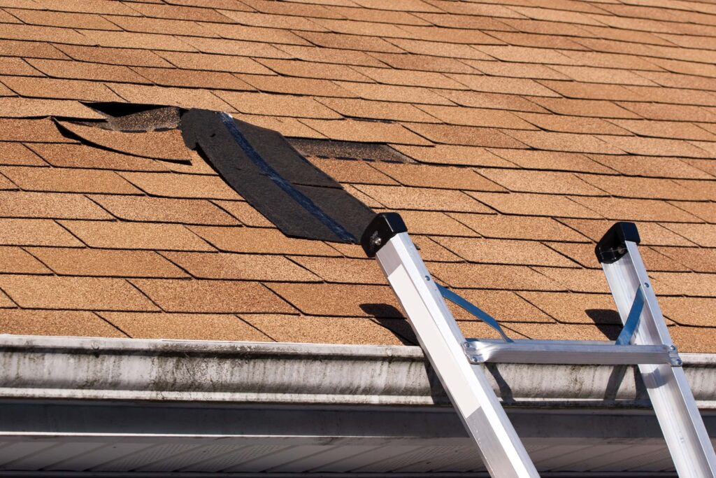 4 Step Roof Leak Repair: How To Spot Leaks & What To Do Next